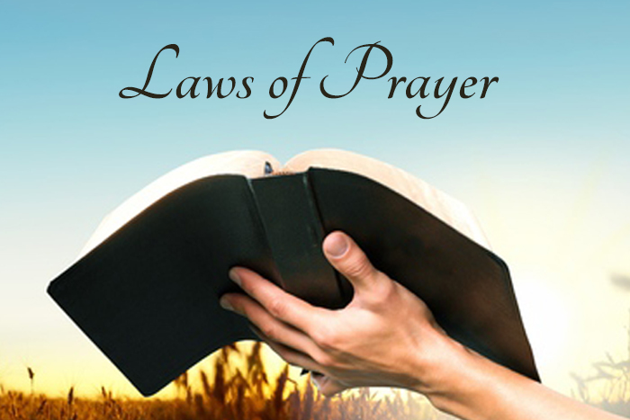 Laws-of-P{rayer – Naaleh