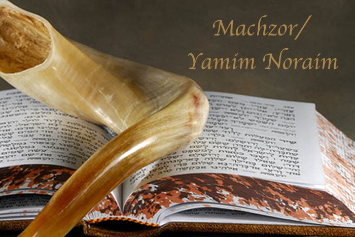 Naaleh – Learn Torah Online with Naaleh's free video shiurim from some ...