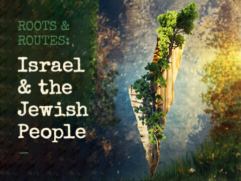 Naaleh – Learn Torah Online with Naaleh's free video shiurim from some ...