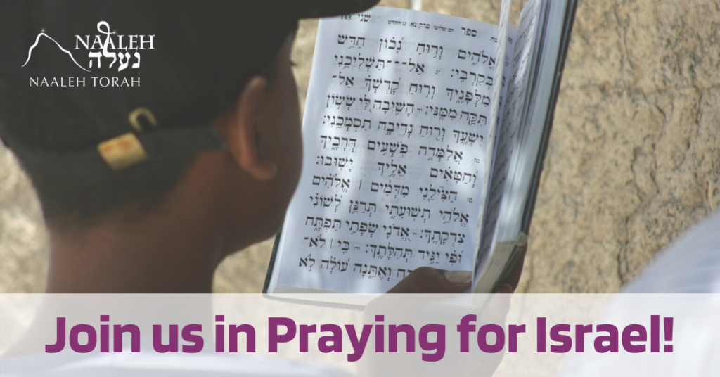 Pray for Israel – Naaleh